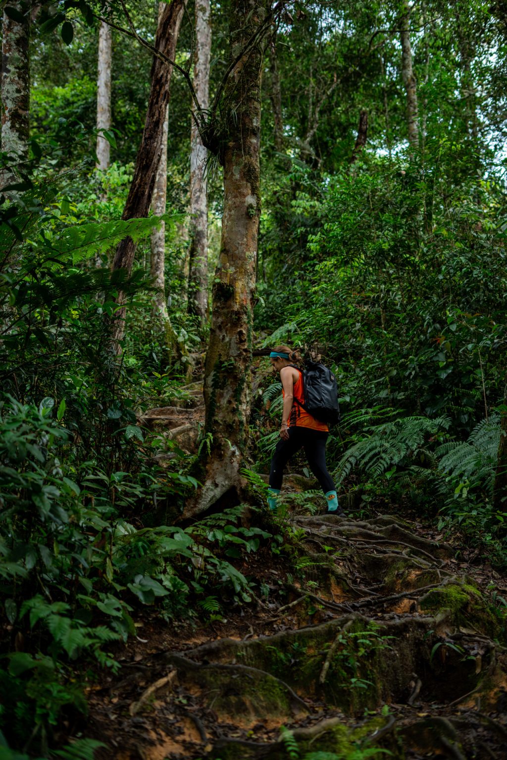 THE BEST CAMERON HIGHLANDS HIKE - THE MAP CHASERS: OUR TRAVEL ADVENTURES