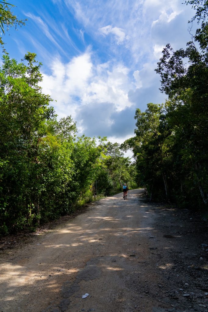 YOUR GUIDE TO THE BEST (LESSER KNOWN) CENOTE IN TULUM - THE MAP CHASERS ...